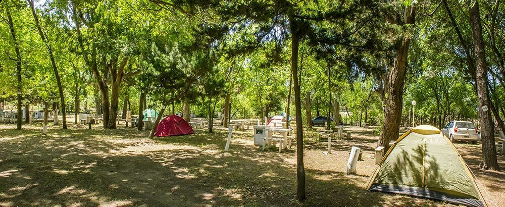 Camping Saint Tropez - Pinamar - Guia de Campings